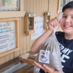 Springfield Crystal Cave Bronze Adventure Tour and Dino Trail - Who Will Enjoy This Tour?