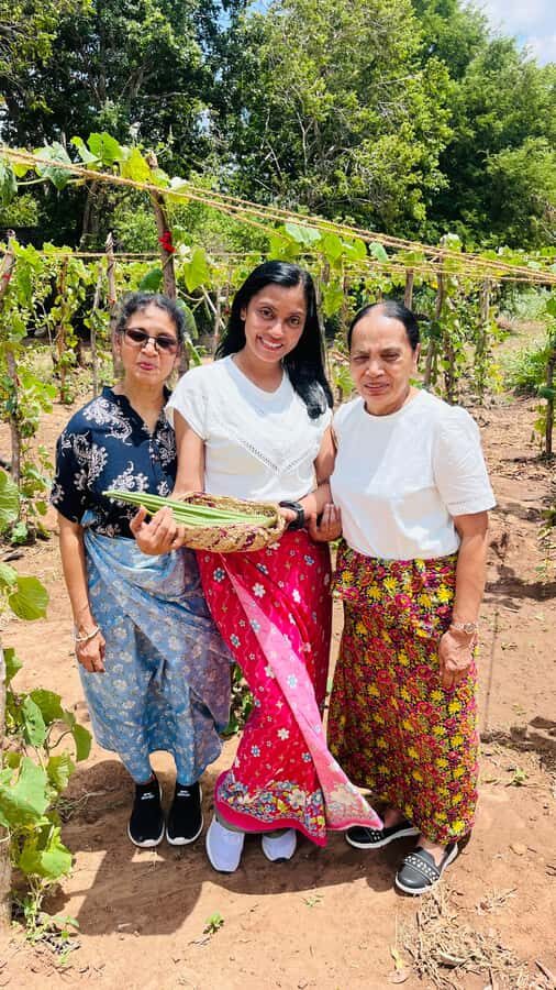 Sri Lanka: 10-Day Luxury private Tour with hotels - Transportation & Group Size