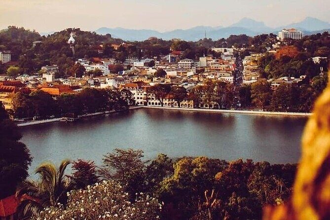 Sri Lanka 14 Day Scenic Tour with Entry and Adventures Fees - Wildlife Encounters: Minneriya and Yala