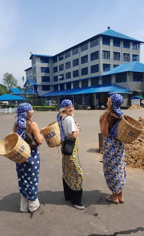 Sri Lanka: 15-Day Guided Tour with Transfers & Hotels - A Detailed Journey Through the Itinerary