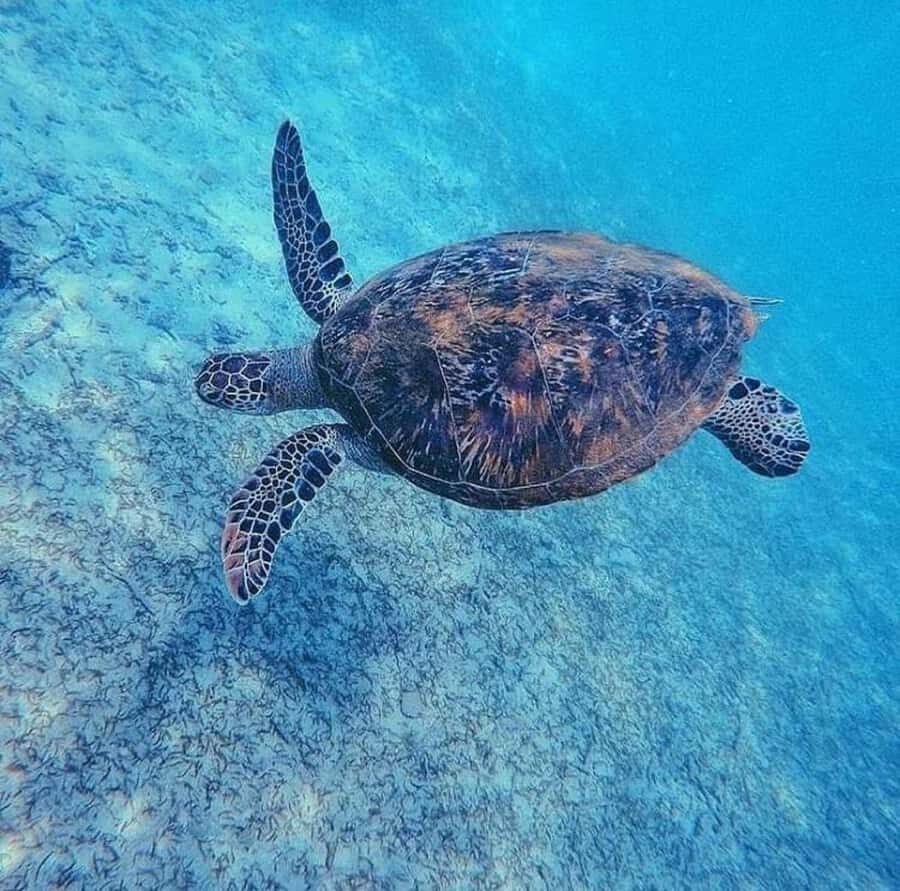 Sri Lanka: 3-Days private South Coast Tour with hotel - The Practicalities & Value