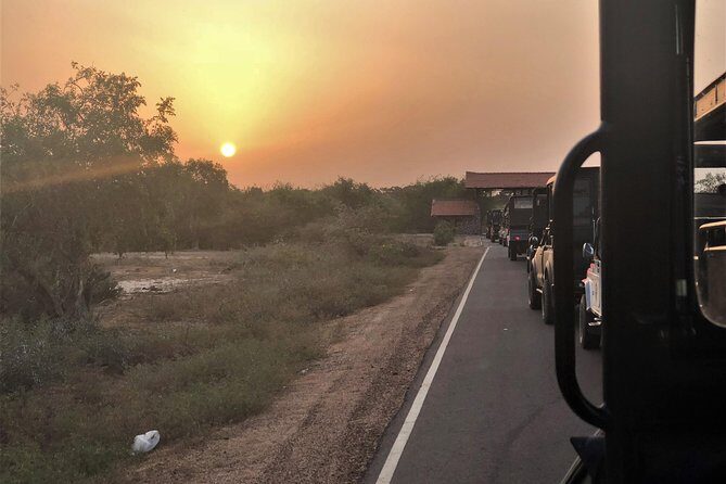 Sri Lanka 7 Days Tour Package  South Coast & Highlands - What Makes This Tour Stand Out?