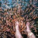 Sri Lanka: 9-Day Private Tour  Pearl of the Indian Ocean - What Sets This Tour Apart