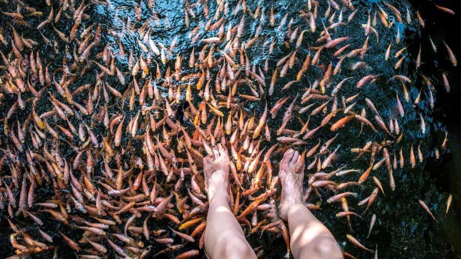 Sri Lanka: 9-Day Private Tour  Pearl of the Indian Ocean - What Sets This Tour Apart