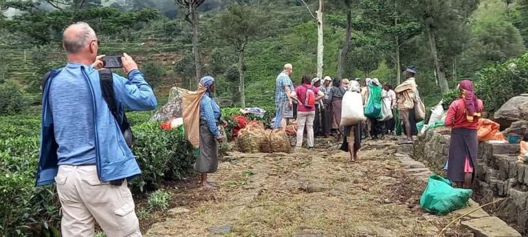 Sri Lanka: Ceylon Royal Tea Trails Trekking Tour - How the Tour Is Valued