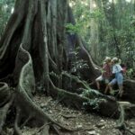 Sri Lanka jungle tour 4 days-rainforests, national parks... - Whats Included and What To Consider