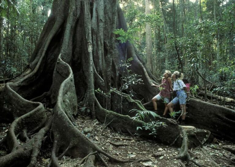 Sri Lanka jungle tour 4 days-rainforests, national parks... - Whats Included and What To Consider