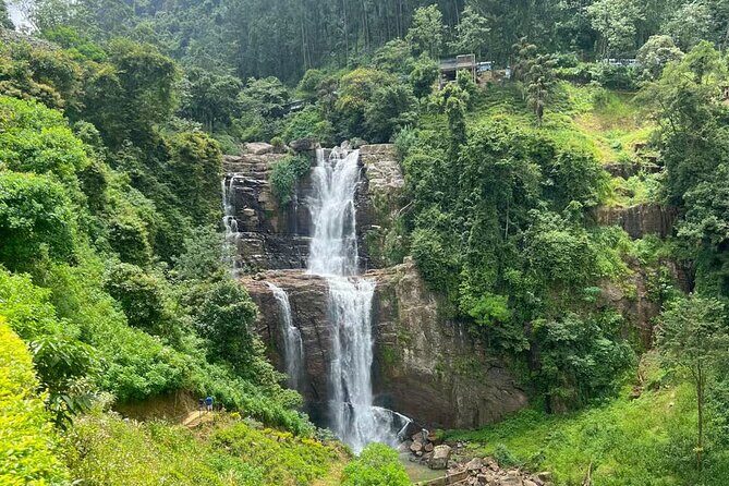 Sri Lanka Private Tour with Driver (car/Mini van/Large van) - Who Should Consider This Tour?