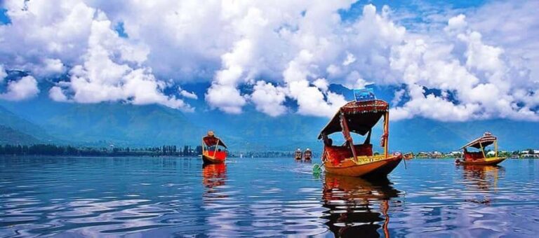 Srinagar: Tulip Garden With Shikra Ride on Dal Lake Tour - Why This Tour Is a Great Choice