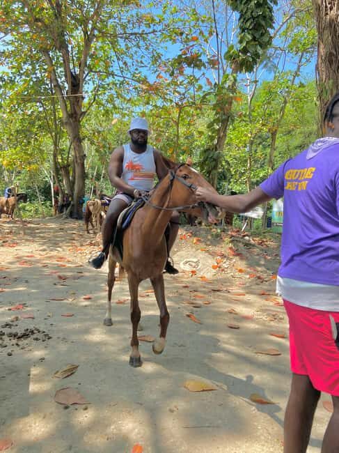 St. Ann: Horseback Riding in St. Anns Bay - An In-Depth Look at the Horseback Riding Tour