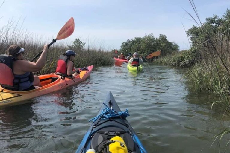 St. Augustine: Salt Marsh Kayak Tour - Who Would Enjoy This Tour Most?