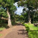 St. George's: Half-day spice and waterfall tour - The itinerary in detail