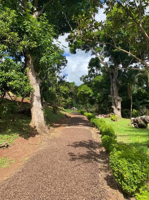 St. George's: Half-day spice and waterfall tour - The itinerary in detail