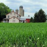 St. Jacobs Market & Mennonite Countryside Tour - Kitchen Kuttings Stop
