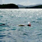 St. John's, Antigua Kayak, Snorkeling, & Beach Bird Island - Why This Tour Offers Great Value