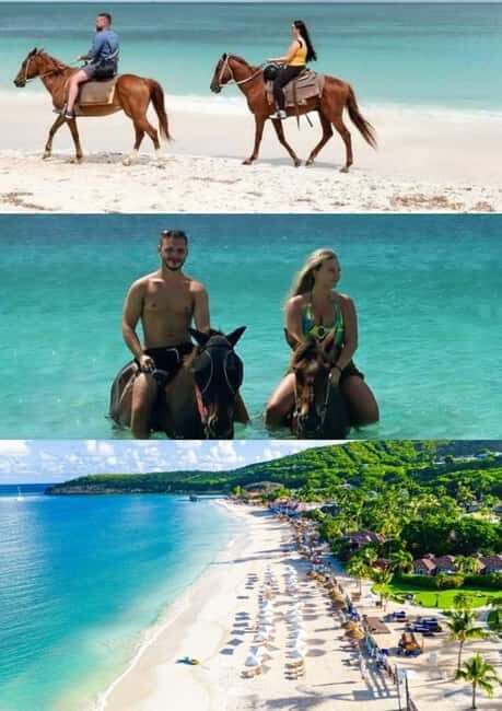 St. Johns: Horseback Riding Bareback Swim, &Fort James Beach - The Full Experience: What to Expect from Start to Finish