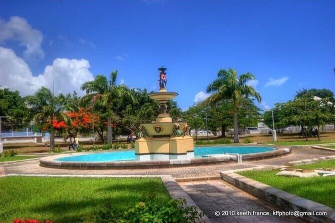 St. Kitts Full Island Excursion - What Do the Reviews Say?