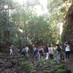 St Kitts Half-Day Rainforest Tour - The Stops and Their Significance