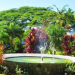 St Kitts Island Tour (Reconfirm Ship or Hotel) - What Makes This Tour Stand Out?