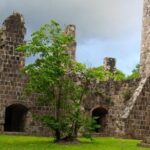 St Kitts Plantation and Beach Tour - The Sum Up