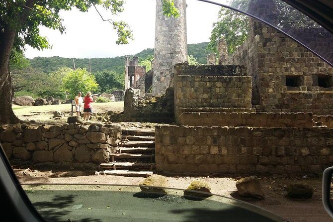 St Kitts Rainforest Tour - Why This Tour Is a Great Choice