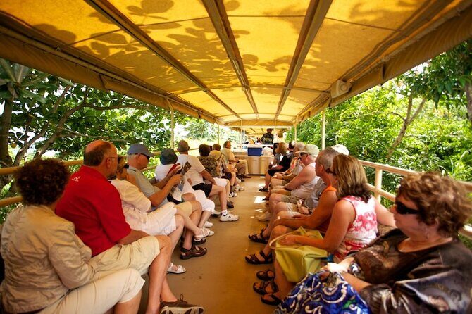 St. Kitts Scenic Train Experience - What to Expect from Each Stop