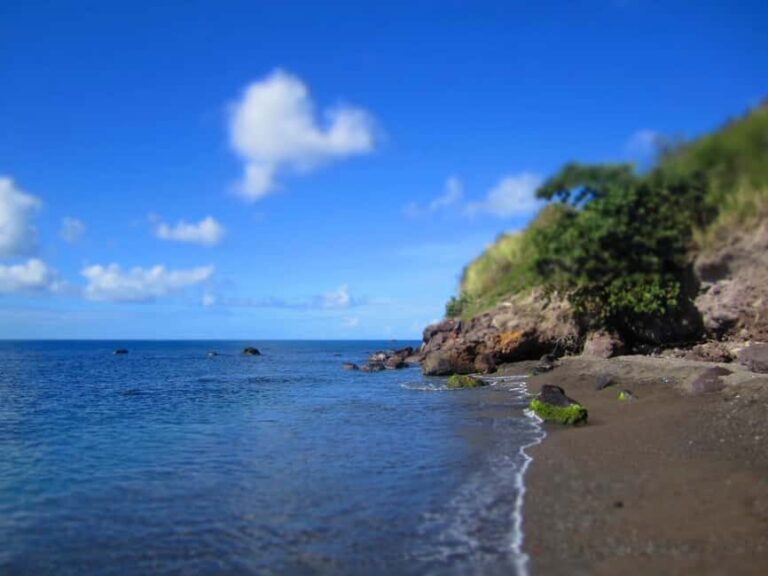 St.Kitts Sea Glass & Volcanic Black Sand Beach Day - Why This Tour Offers Great Value