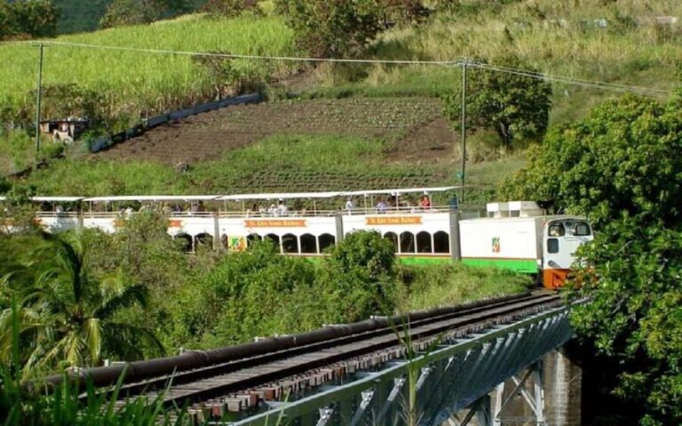 St.Kitts Sugar Train Tour with Pick Up & Drop-Off From Port. - Price and Value