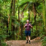 St Kitts: Volcano Hiking and Sightseeing Excursion - The Practical Side: What You Need to Know