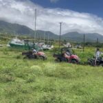 St. Kitts:Countryside Dune Buggy Tour - Practical Tips for Your Dune Buggy Experience
