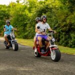 St.Lucia Beaches and Backroads Tour by Electric Big-Wheel Scooter - Authentic Experiences and Guest Feedback