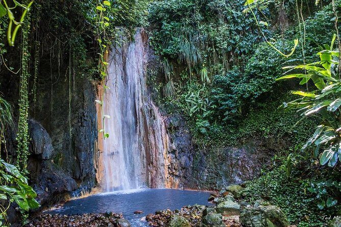 St. Lucia Botanical Gardens and Waterfall Tour Groups only - Transportation, Timing, and Group Dynamics