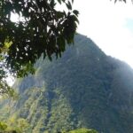 St Lucia Gros Piton Climb Challenge - The Sum Up: Is the Gros Piton Climb Challenge Worth It?