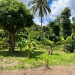 St. Lucia: Land and Sea All Inclusive Tour - What to Expect from the Land and Sea Tour