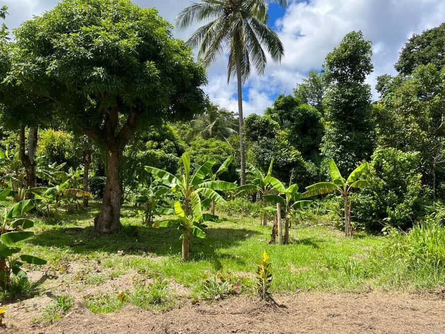 St. Lucia: Land and Sea All Inclusive Tour - What to Expect from the Land and Sea Tour