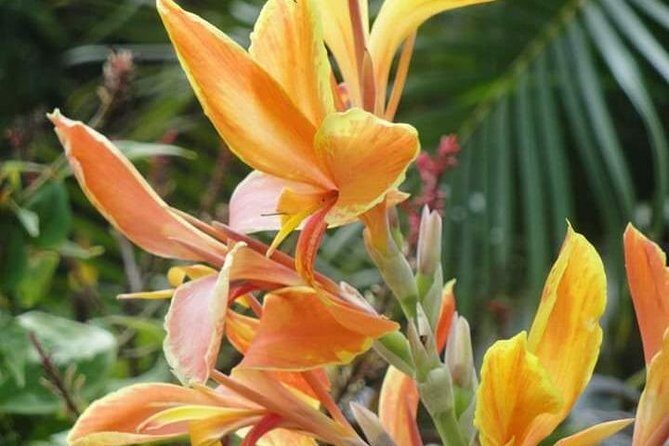 St Lucia Northern Island Tour - Who Should Consider This Tour?