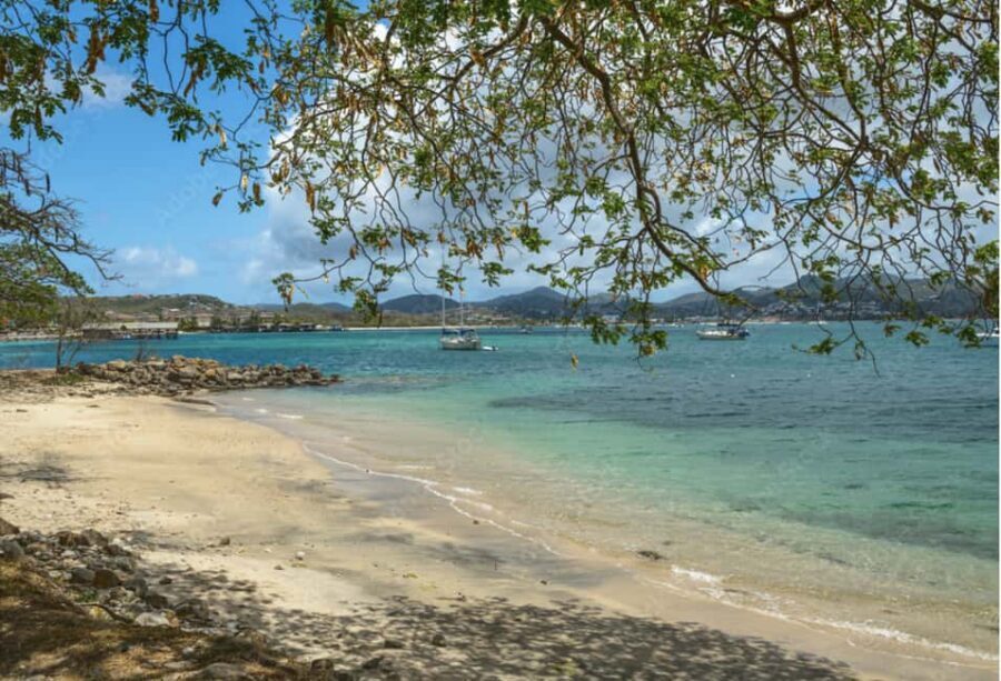 St Lucia Pigeon Island Ultimate Relaxer Experience - The Practical Side: Transportation, Timing, and Value