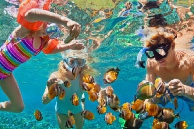 St Lucia Private Boat Tour/Sightseeing/Snorkeling - What to Expect From the Experience