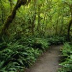 St. Lucia: Safi Estate, Volcano Waterfalls Experience - The Experience: Real Value in Authentic Encounters