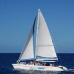 St Lucia: Sapphire Falls Hike with Cruise and Creole Lunch - What Makes This Tour Stand Out?