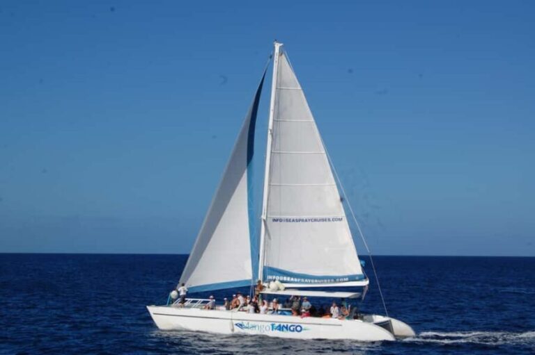 St Lucia: Sapphire Falls Hike with Cruise and Creole Lunch - What Makes This Tour Stand Out?