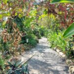 St. Lucia: Scenic Nature Hike & Botanical Garden Escape - The Itinerary Breakdown