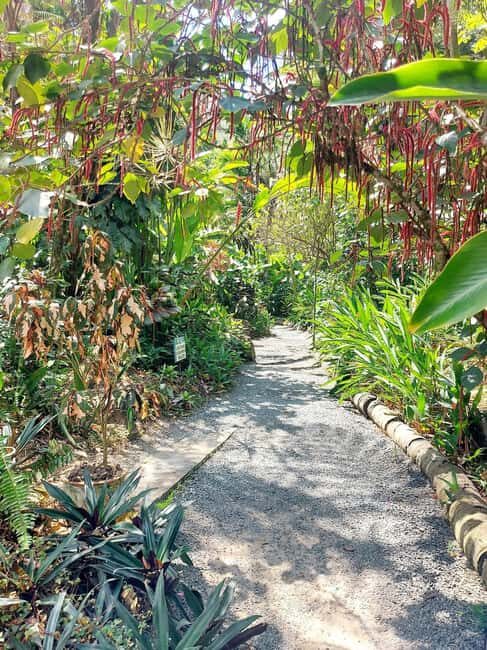 St. Lucia: Scenic Nature Hike & Botanical Garden Escape - The Itinerary Breakdown