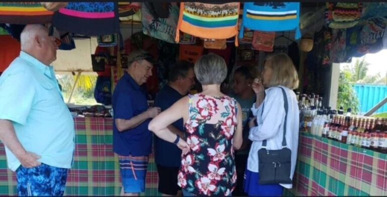 St. Lucia: Sightseeing, Rum tasting, and Shopping Tour - Who Should Consider This Tour?