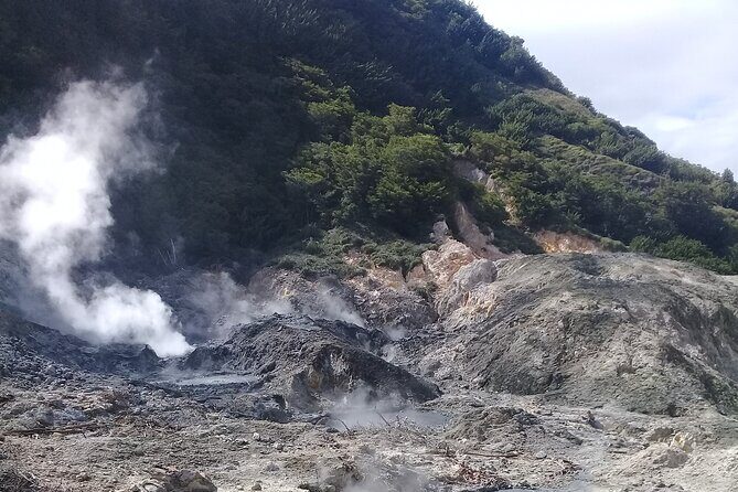 St Lucia Sulphur Springs Drive- in Volcano Tour & Therapeutic Mud baths - Who Will Love This Tour?