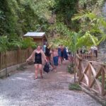 St. Lucia Tet Paul Nature Trail Tour - Who Might Want to Skip It?