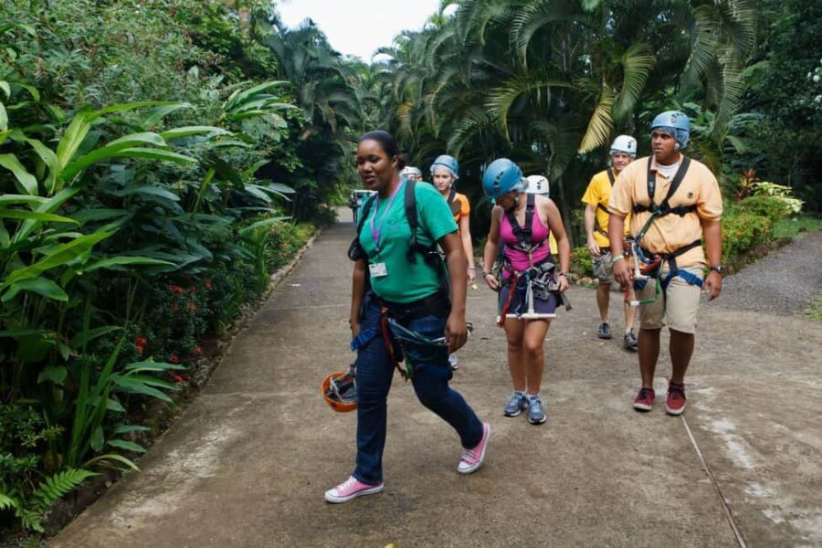 St Lucia Ultimate 3 Package: Aerial Tram Zip Line & Hiking - Who Should Consider This Tour?