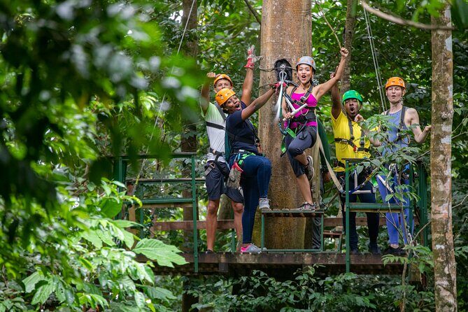 St Lucia Ultimate 3 Package: Aerial Tram, Zipline and Hiking - What the Reviews Reveal
