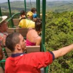 St. Lucia: Zip Line, Aerial Tram, and Hiking Tour - Why This Tour Works for Travelers