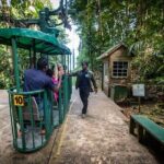 St. Lucia Zip line, Aerial Tram and Hiking tour Ultimate 3 - The Real Value for Travelers